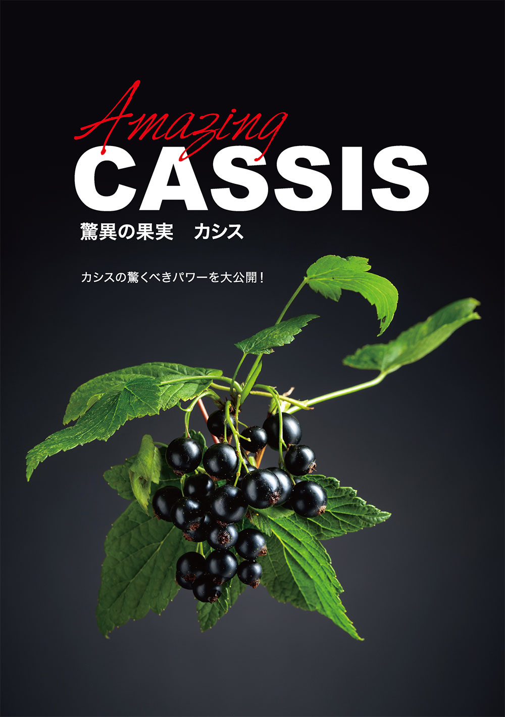 「カシスブック」協会公認サイトで商品ご購入の皆さんにプレゼント!! - 一般社団法人 日本カシス協会